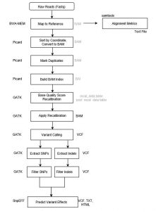 Variant Calling – NGS Analysis