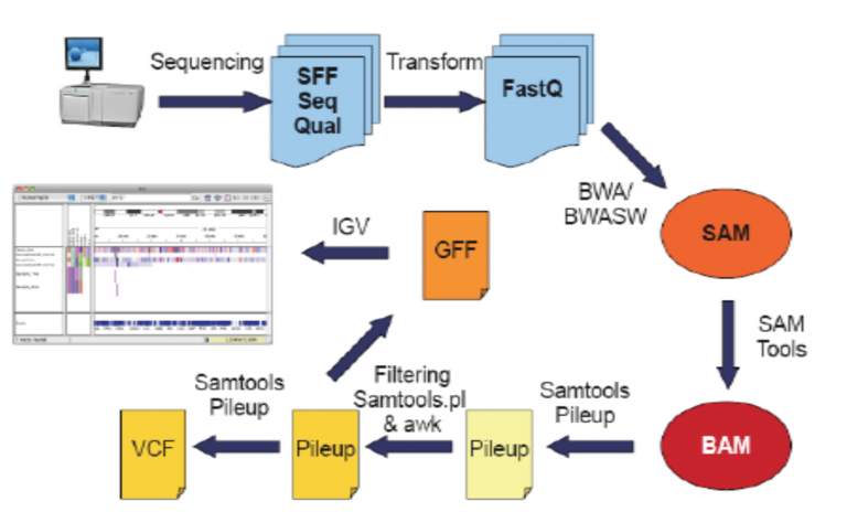 NGS Sequencing Technology and File Formats – NGS Analysis